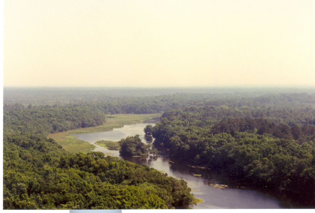 Gallery - Wekiva Wild and Scenic River System
