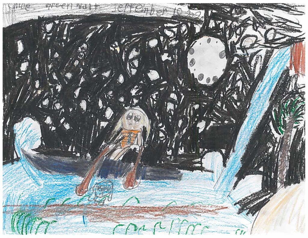 20th Anniversary Art Contest Winners – Wekiva Wild and Scenic River System