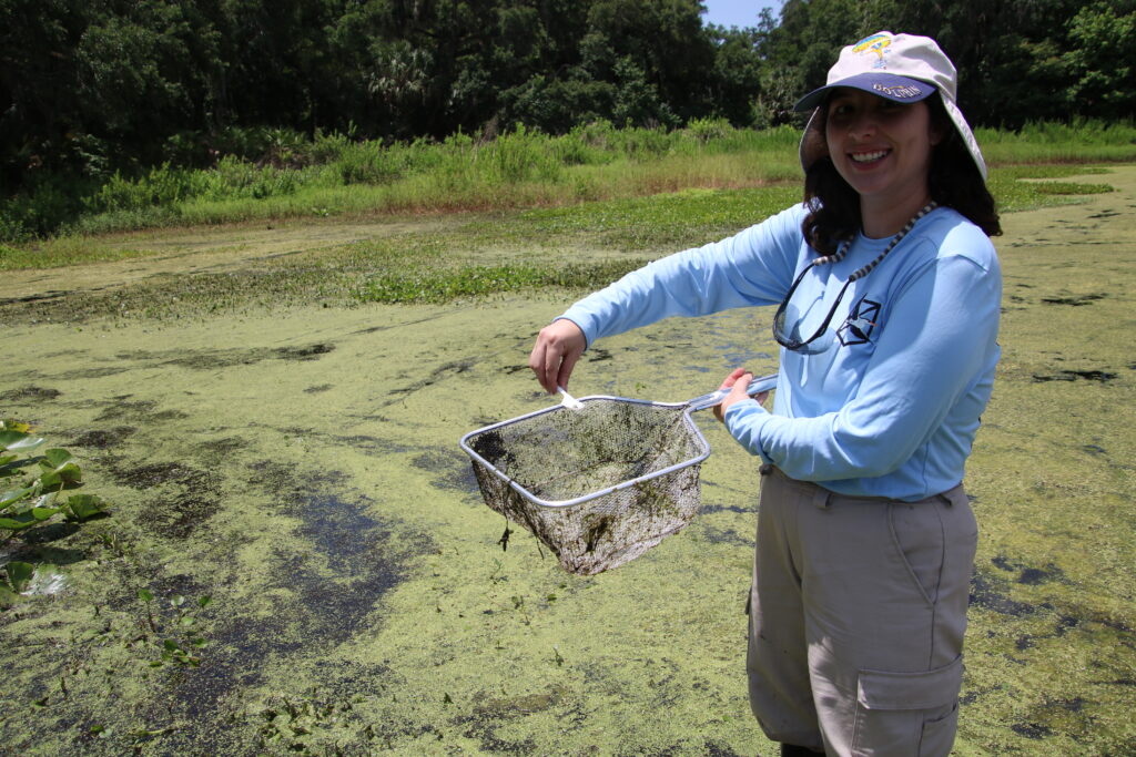 Dragonfly Mercury Project Sampling 2022 – Wekiva Wild and Scenic River ...